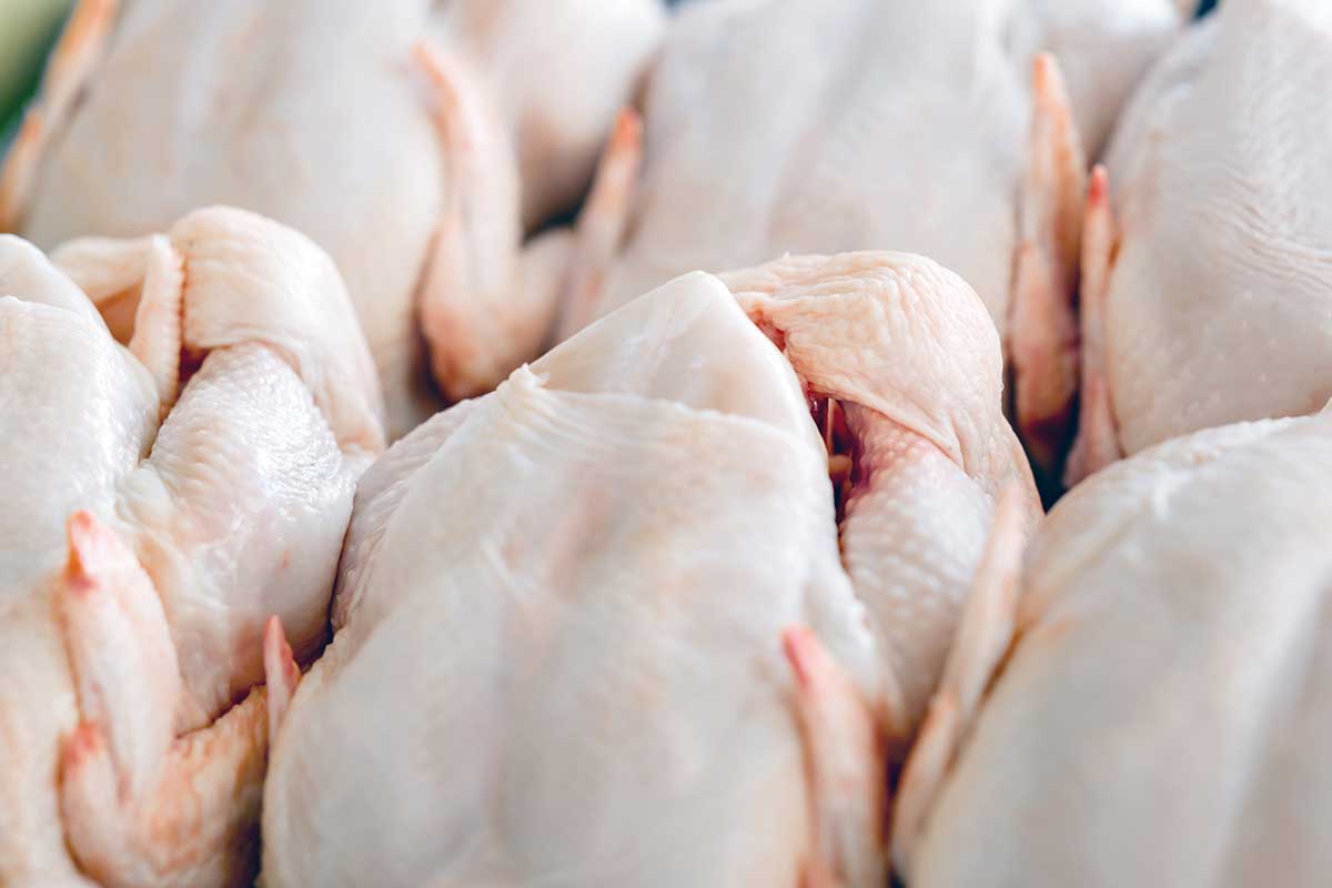 Primary Processing - Sunrise Farms