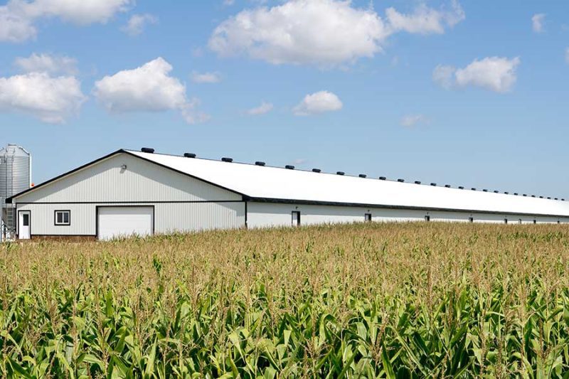 FROM FARM TO TABLE - Sunrise Farms